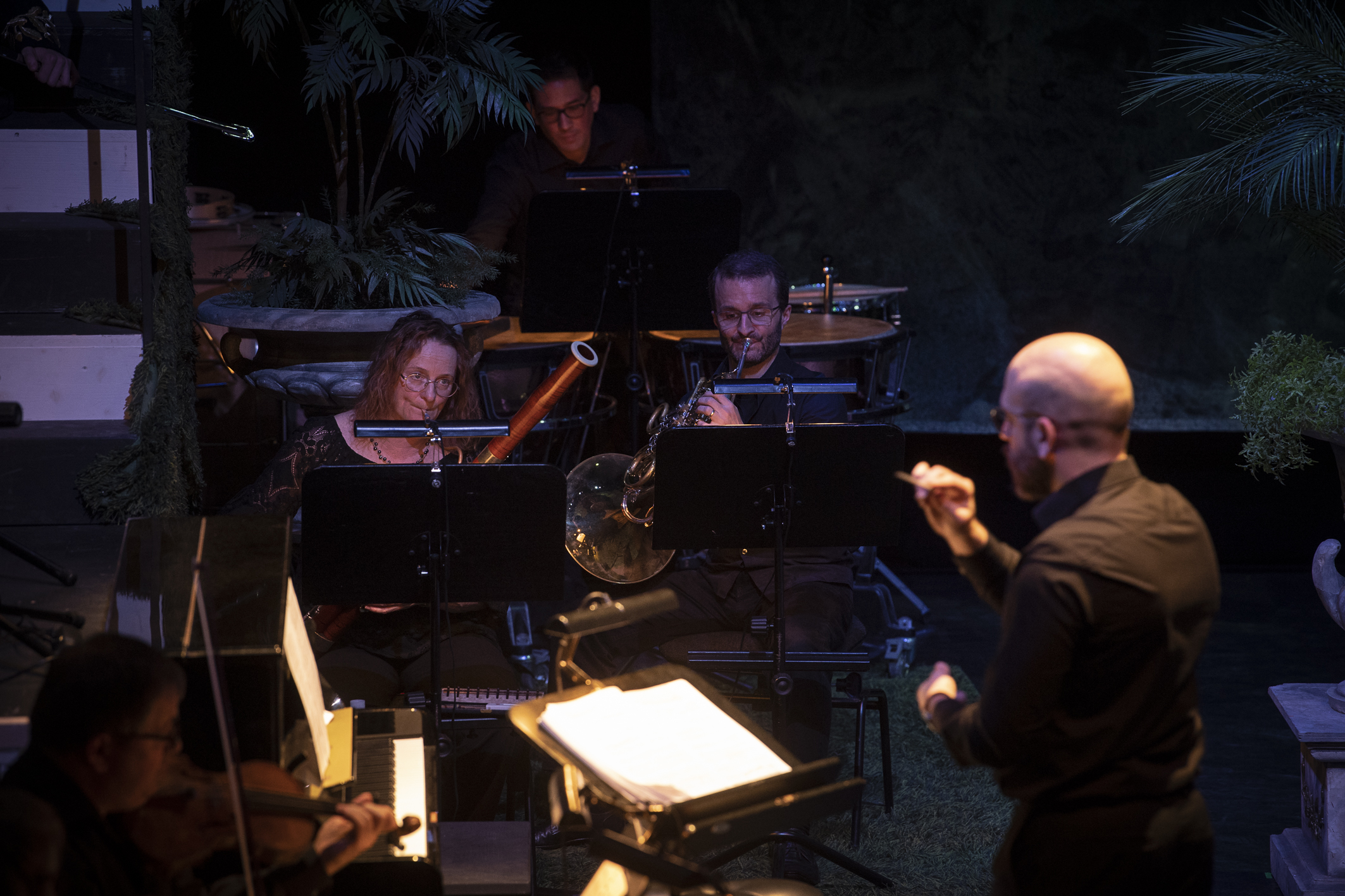 ZKO-News - «Don Procopio» Von der Liebe und dem Geiz