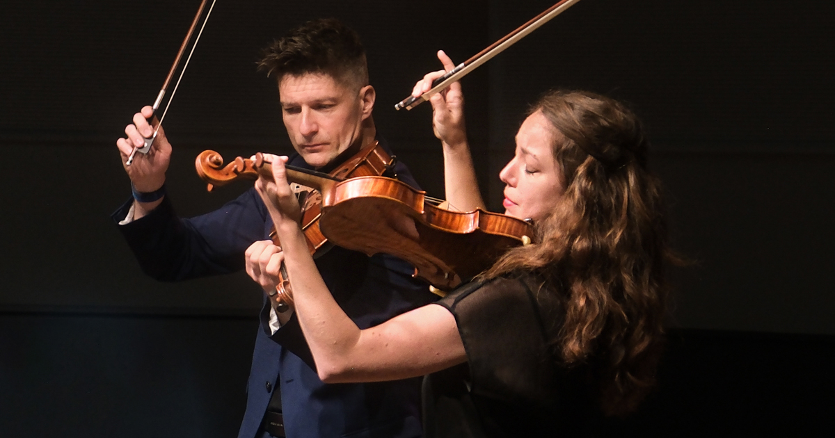 ZKO Festival — French Connection